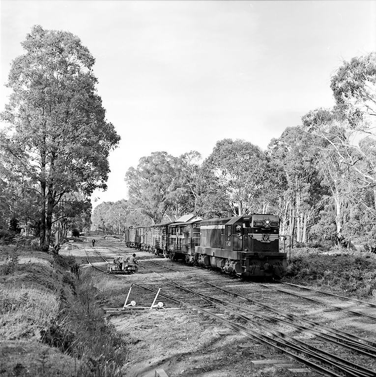 Wodonga to Cudgewa rail line
