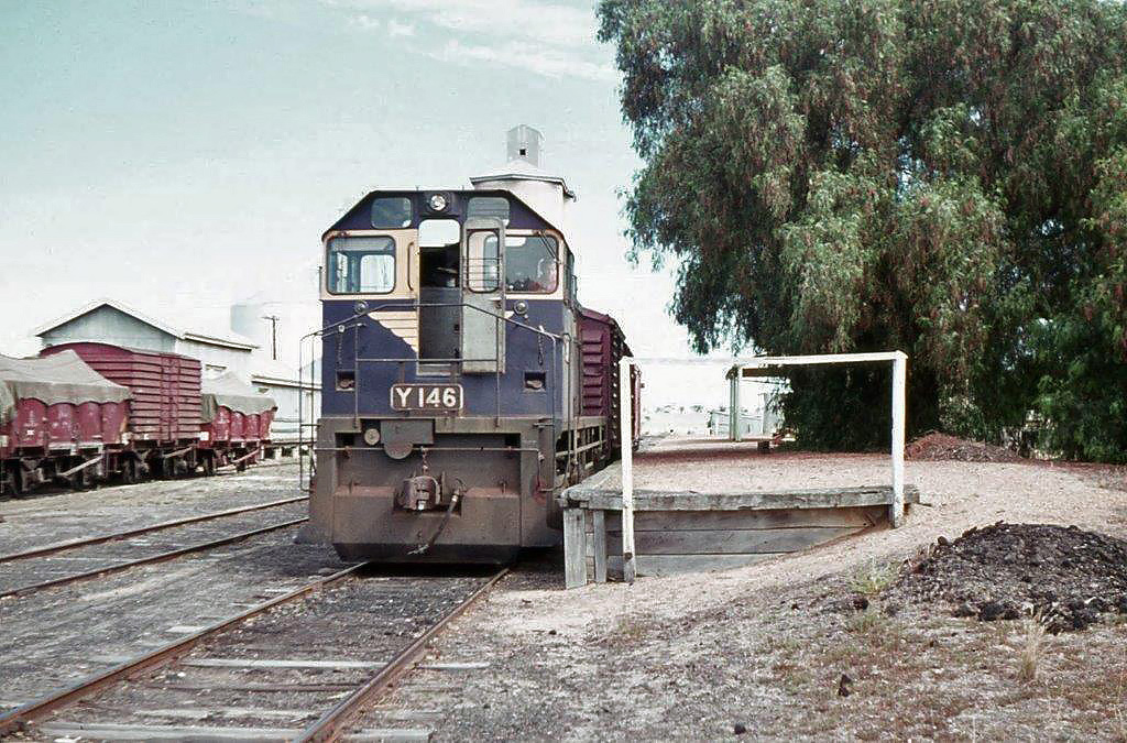 Yaapeet and Yanac lines